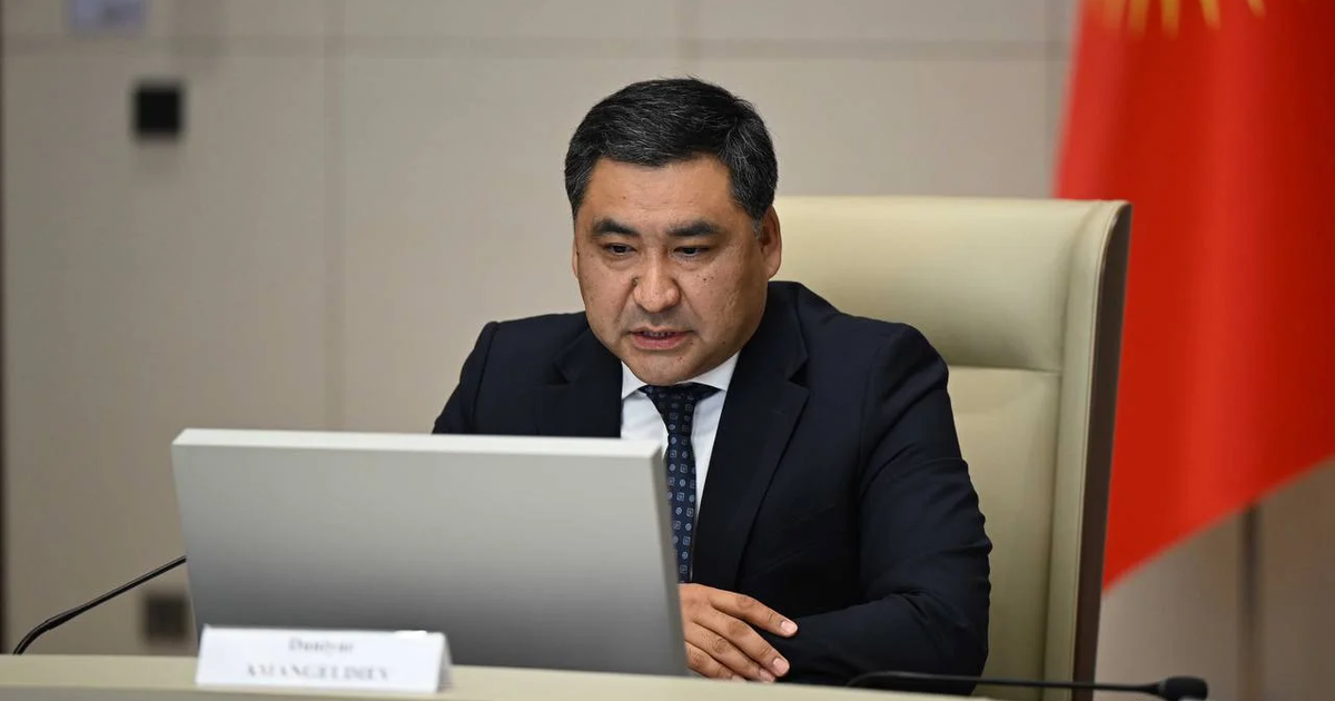 Kyrgyz Cabinet deputy head, EU special envoy hold talks online - Kyrgyz ...