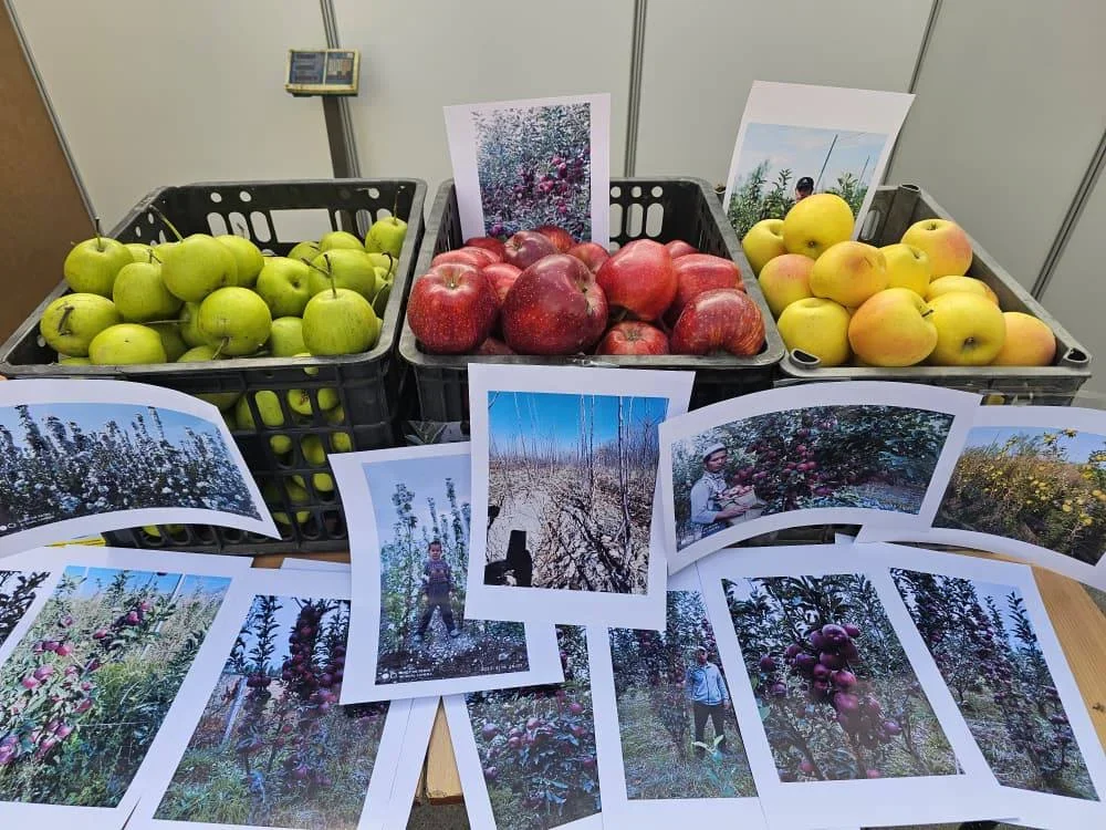 Osh hosts Agro Caravan 2026 trade fair - Kyrgyz national news agency